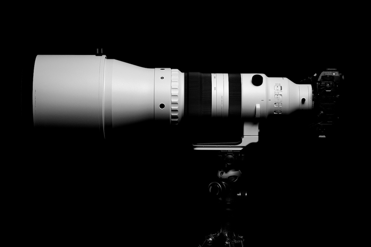 Ống kính Sigma 300-600mm f/4 DG OS Sports cho Sony E-mount được thử ...